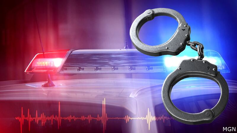 Woman Faces Felony Charges After Police Say She Attacked Officers